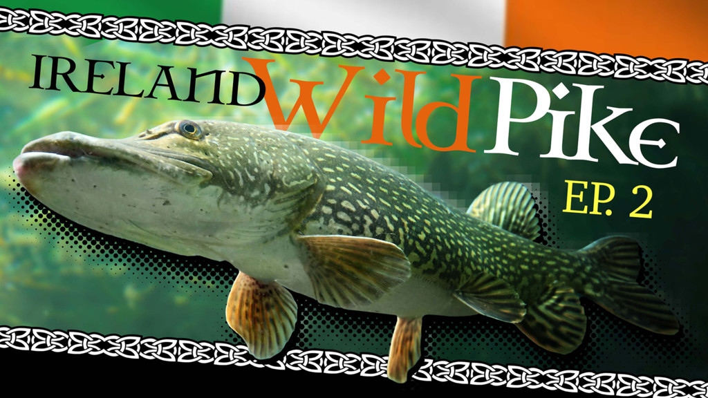 Wild pike Ireland #2 | SincroGuia TV