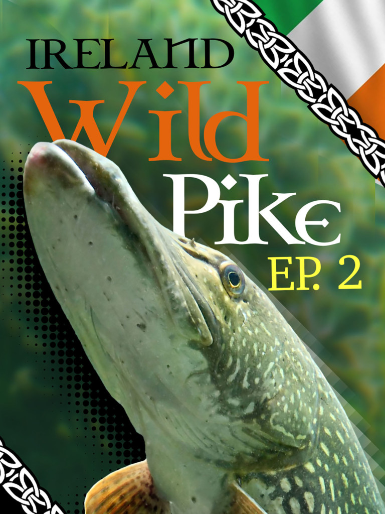 Wild pike Ireland #2 | SincroGuia TV