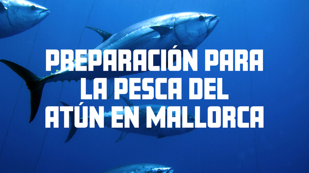 Preparación para la pesca del atún en Mallorca | SincroGuia TV