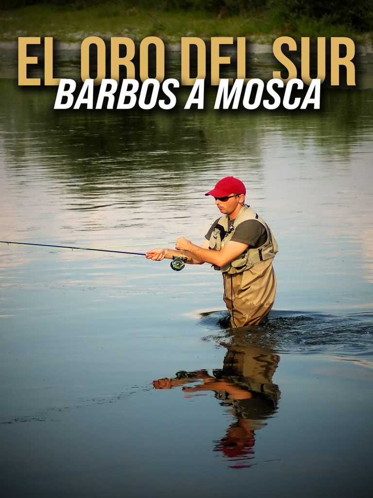 El Oro Del Sur Barbos A Mosca | SincroGuia TV