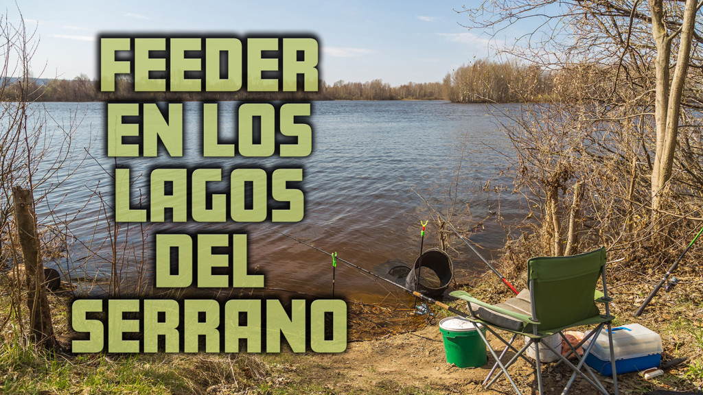Feeder En Los Lagos Del Serrano | SincroGuia TV