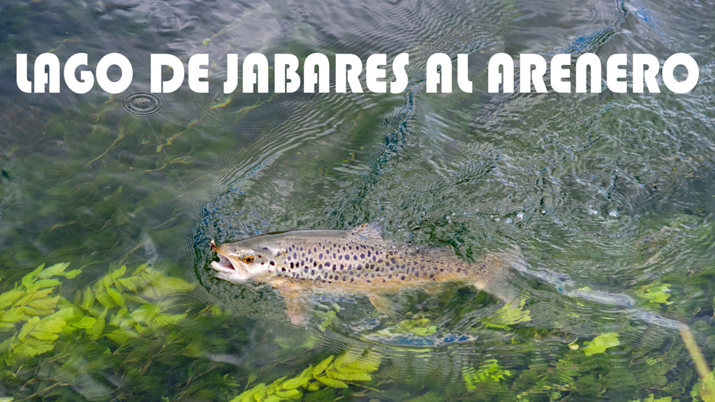 Lago De Jabares Al Arenero | SincroGuia TV