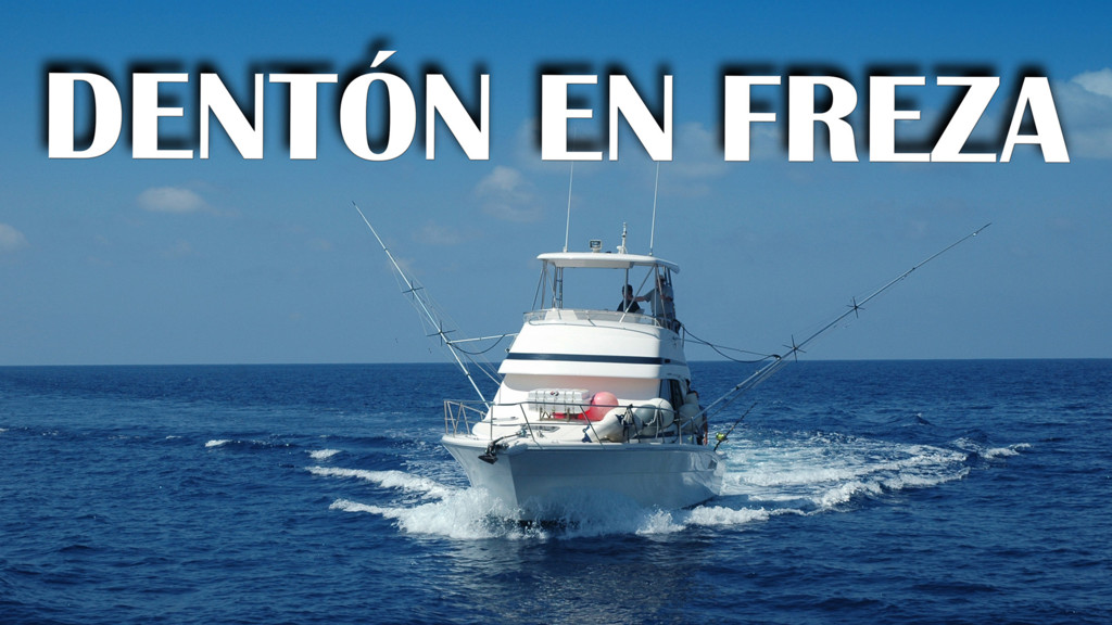 Dentón en freza | SincroGuia TV