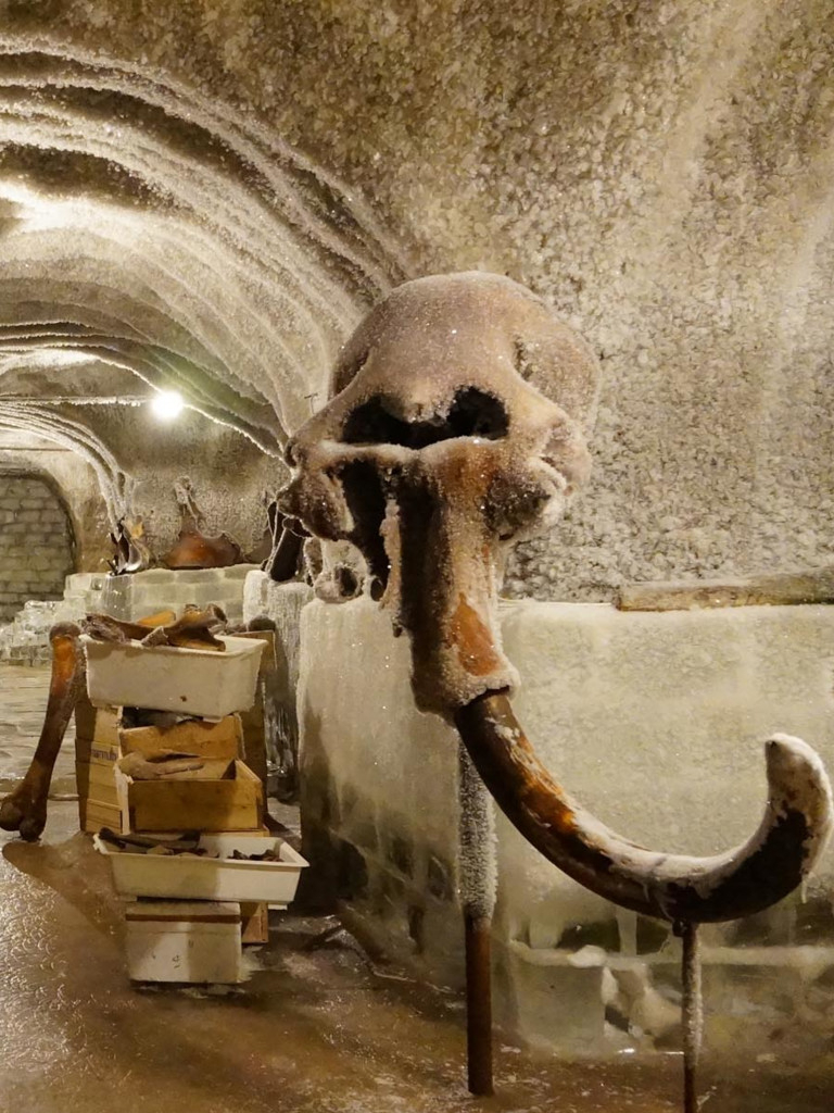 Altamira, el origen del arte | SincroGuia TV