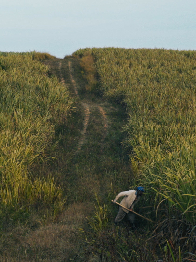 Mal de canya | SincroGuia TV
