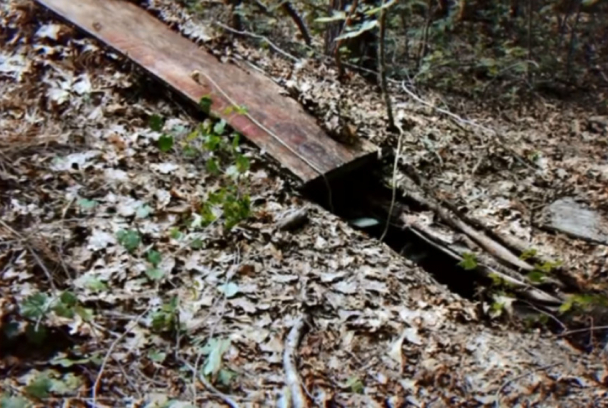 Elizabeth Shoaf, la chica del búnker | SincroGuia TV