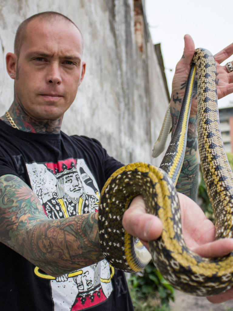 Encuentros venenosos - T1 Ep 2 | SincroGuia TV