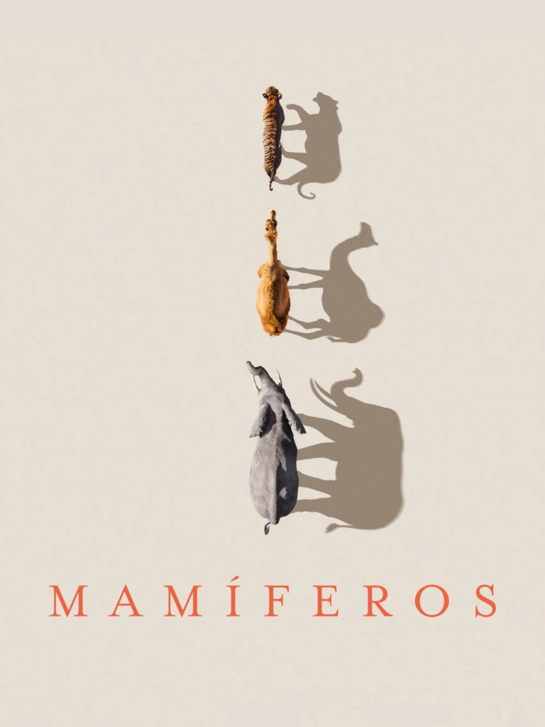 Mamíferos T1 E6 : En el bosque - Documental