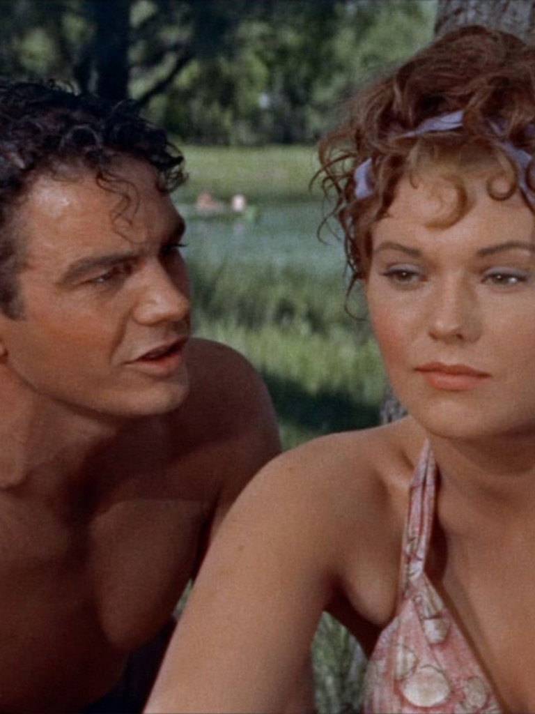 Picnic | SincroGuia TV