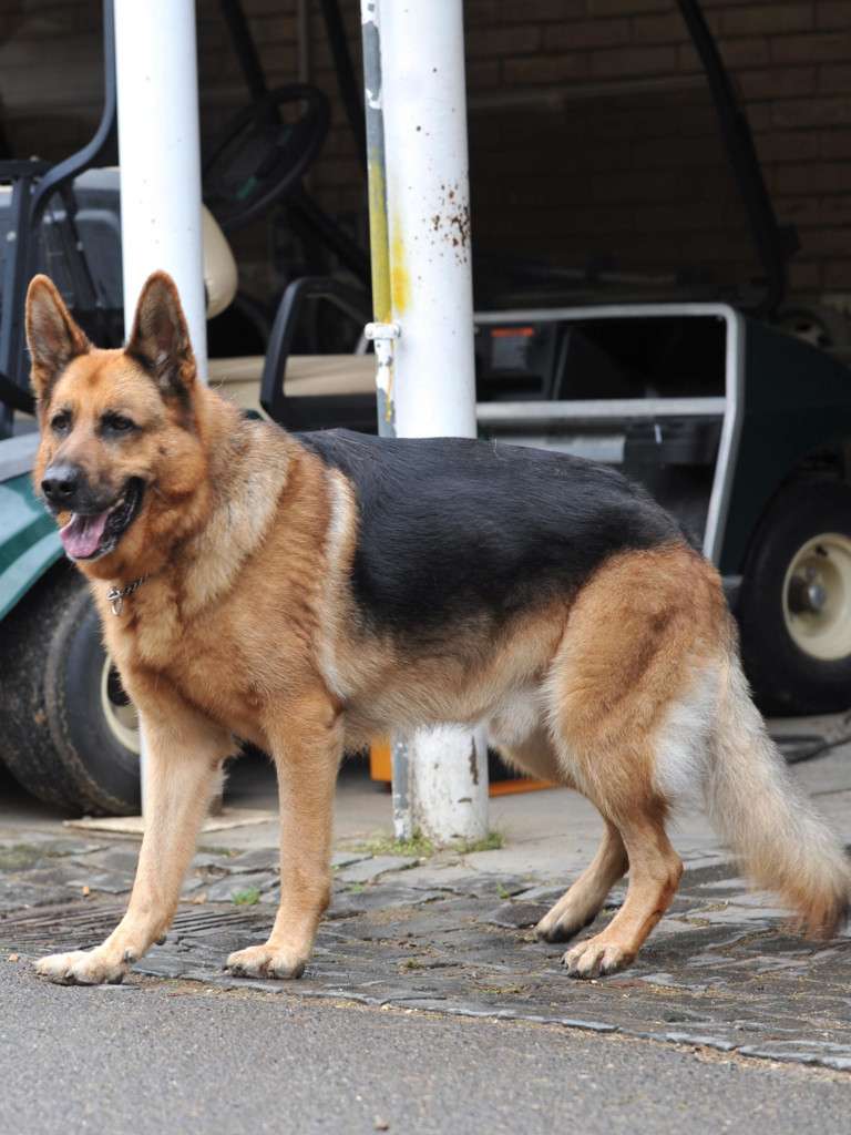 La iniciación - T17 Ep 10 | SincroGuia TV