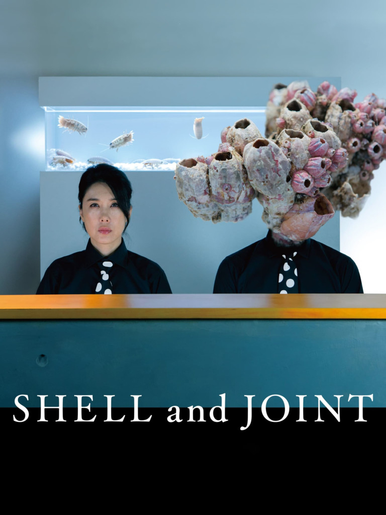 Shell and Joint | SincroGuia TV
