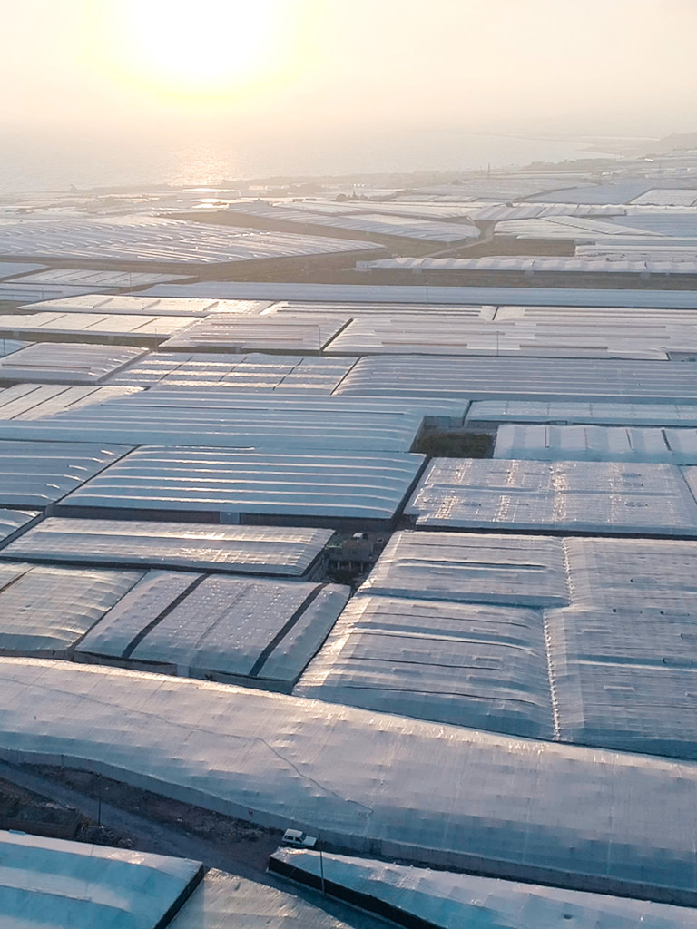 The Price of Progress | SincroGuia TV