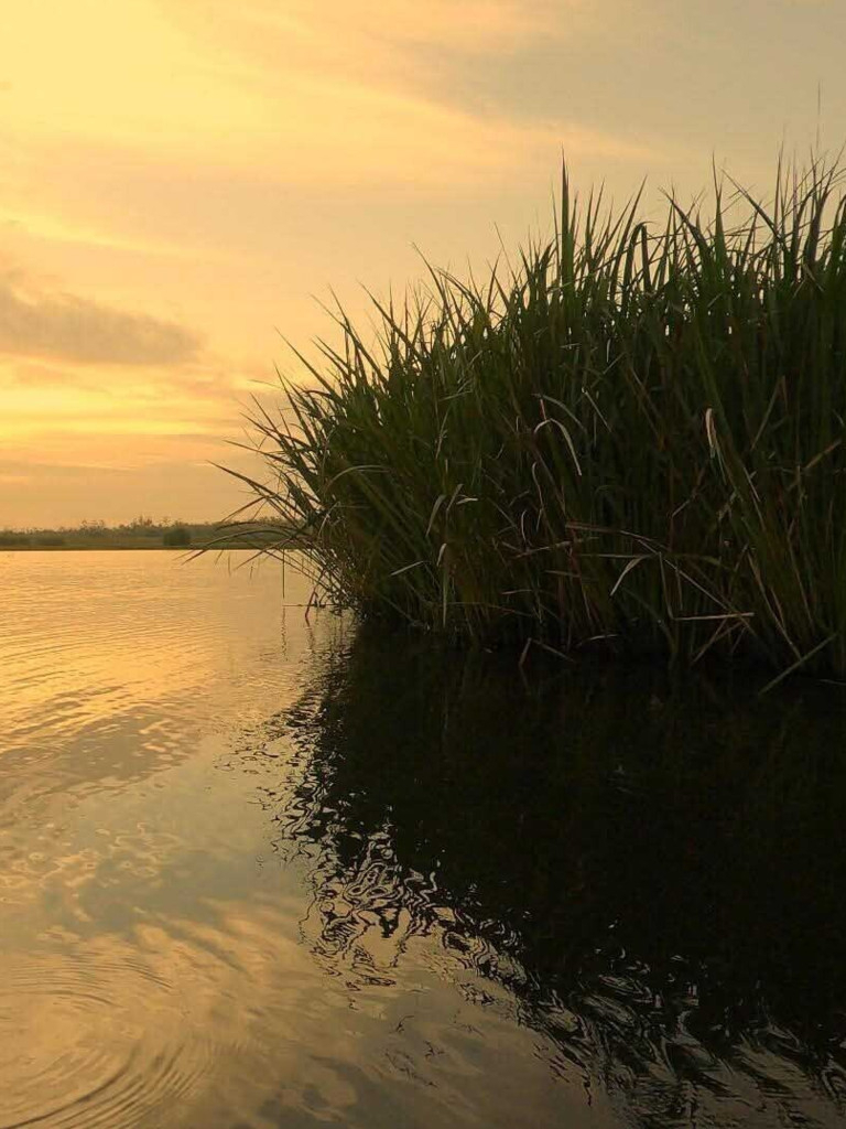 Traición en el campo - T1 Ep 2 | SincroGuia TV