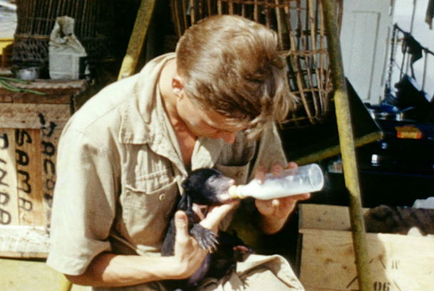 Sierra Leona y Guyana - Zoo Quest En Color - T1 Ep 1 | SincroGuia TV