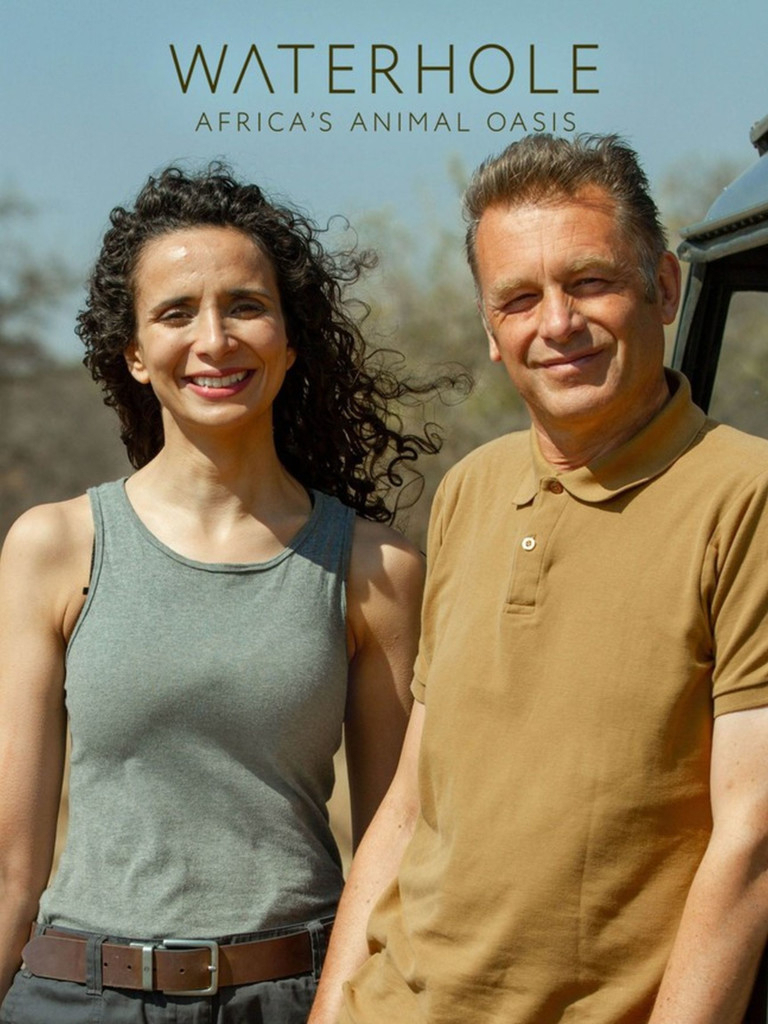 El estanque: un oasis animal (Programa de TV) | SincroGuia TV